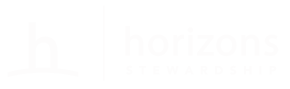 Setting Clear Goals and Objectives: Key Steps for Nonprofit Success